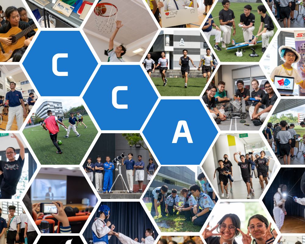 About CCAs